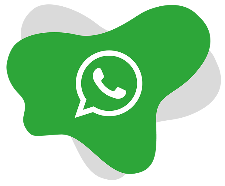 WhatsApp Business API Solutions in Foshan| FBIP