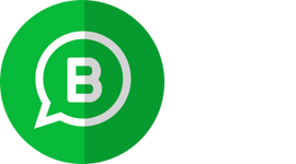 WhatsApp Business API Solutions in Foshan| FBIP